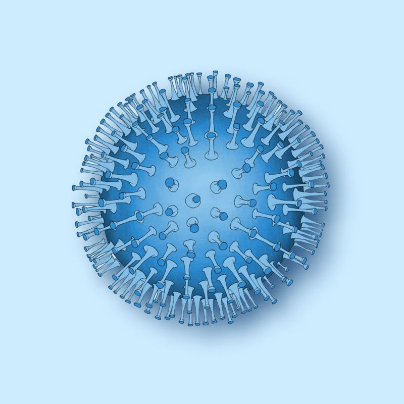 Peptides and Peptide Pools for your Research Projects