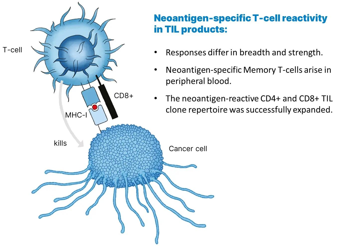 Neoantigene-Specific T-Cells in TIL Therapy